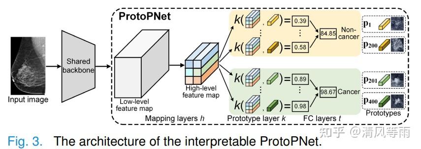 IEEE Transactions on Medical Imaging(TMI)论文推荐：2024年01月(2) - 知乎