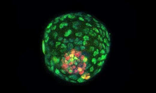 10月份Cell和Science期刊又有哪些亮点? - 知乎