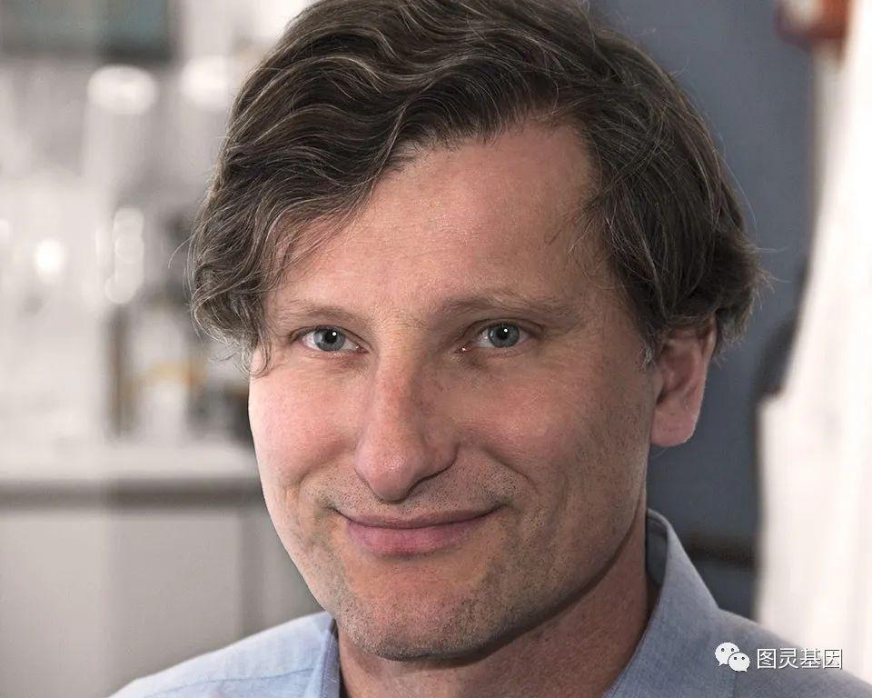 Nature | DHODH抑制剂促铁死亡机制，及发现技术路线 - 知乎