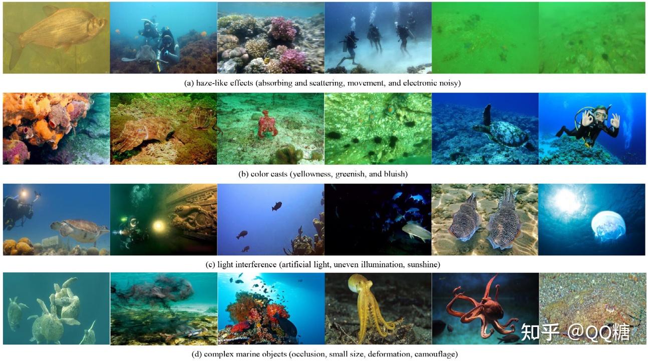水下目标检测数据集RUOD介绍 - 知乎