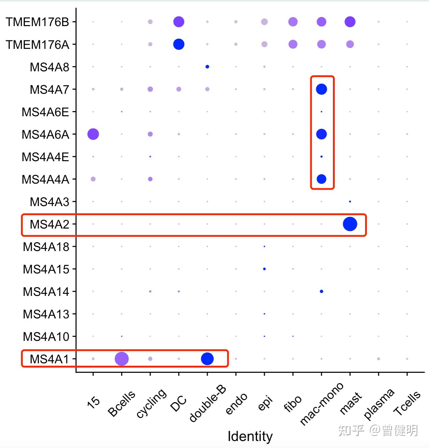 MS4A基因家族在哪些单细胞亚群特异性高表达呢 - 知乎