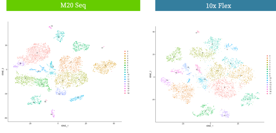 国产单细胞仪器大崛起？来看M20 VITA和10x Flex石蜡样本数据对比分析～ - 知乎