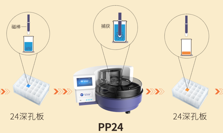 高通量自动化蛋白纯化工作站（PP24)助力AI驱动的酶进化 - 知乎