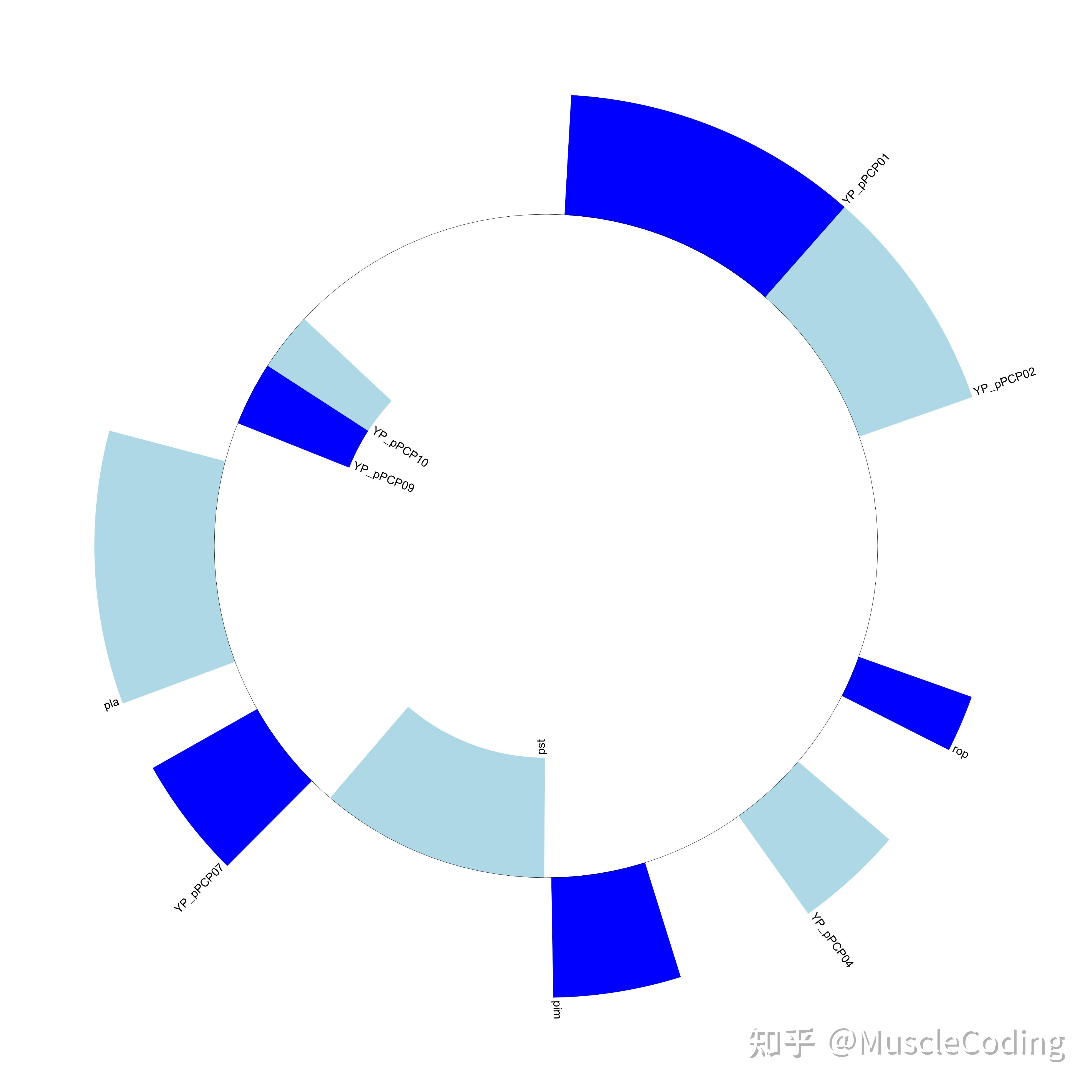10-BioPython-基因组可视化 - 知乎