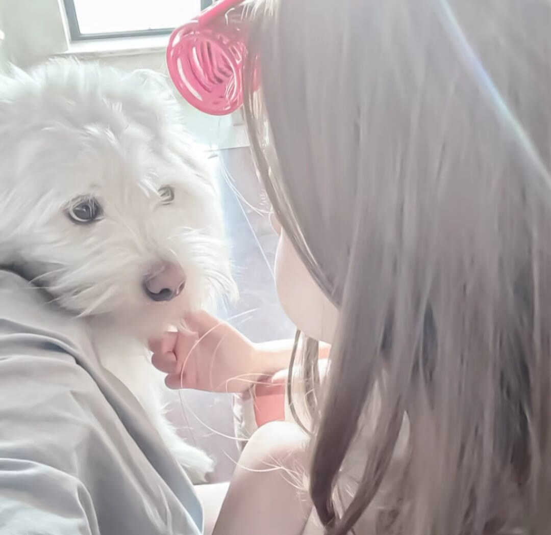 第1316期｜滤镜头像：0329绝绝子奶油滤镜微信头像 - 知乎