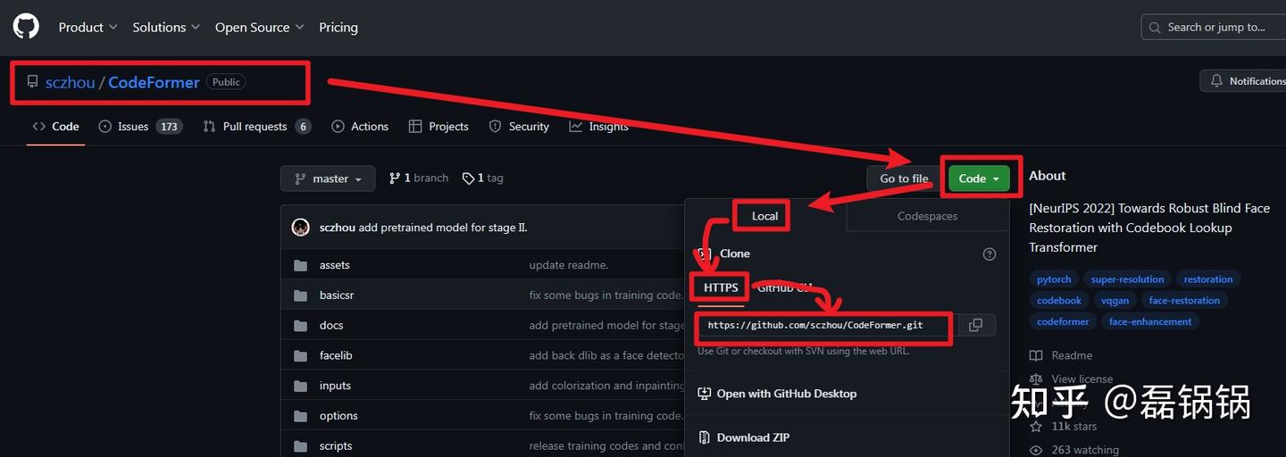 Code Former安装及使用 - 知乎