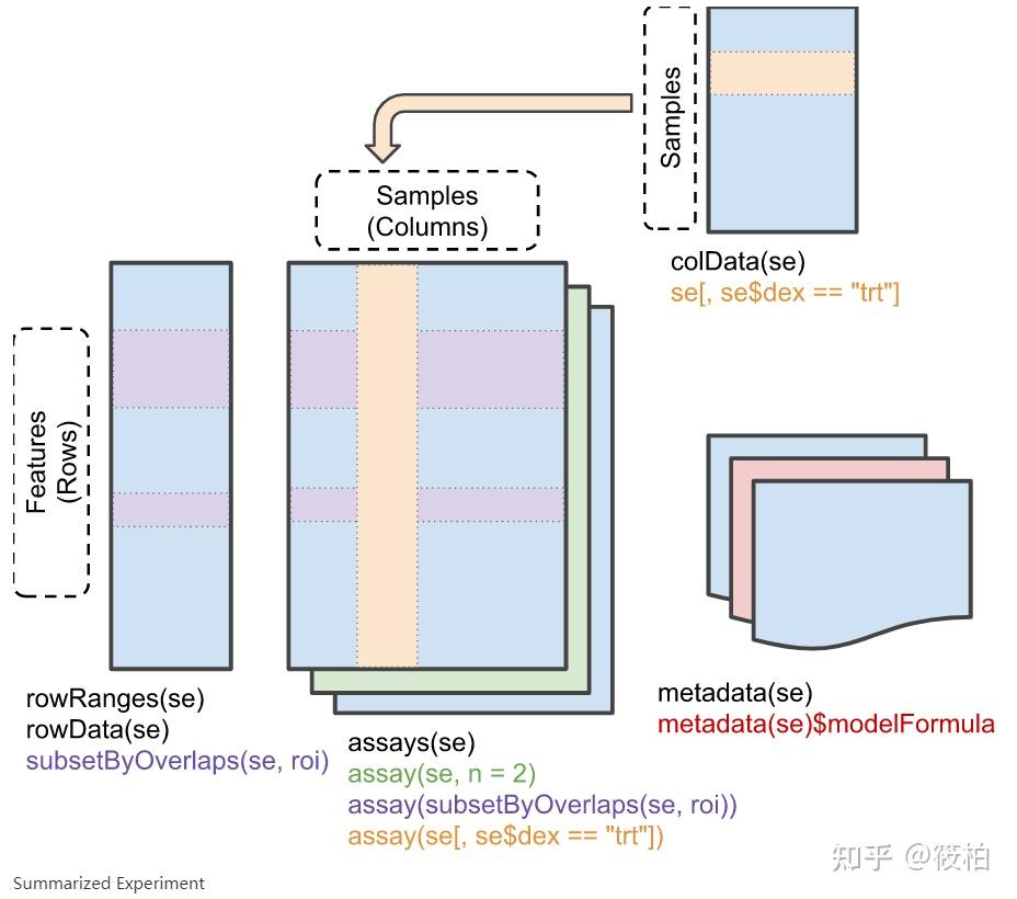 R中SummarizedExperiment包的使用 - 知乎