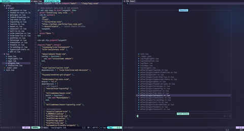 把Neovim整成VSCode （二）插件管理器及外观篇 - 知乎