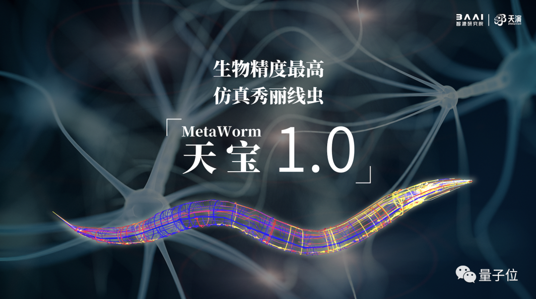 这只线虫不简单！大脑被高精度还原，可动态蠕动前行 - 知乎