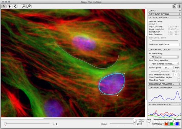 ImageJ实用技巧——曲率计算与拟合(插件篇) - 知乎