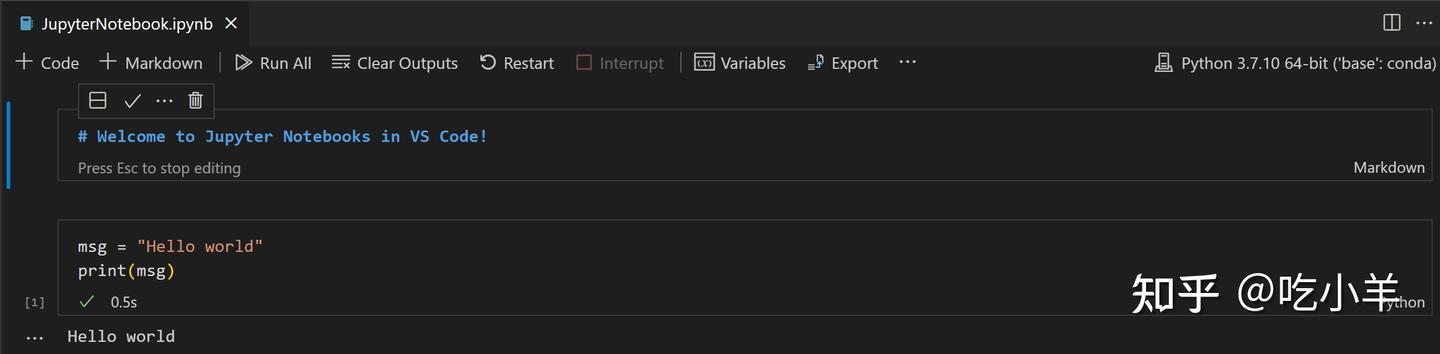 VS Code 中 Jupyter Notebook 使用方法 - 知乎