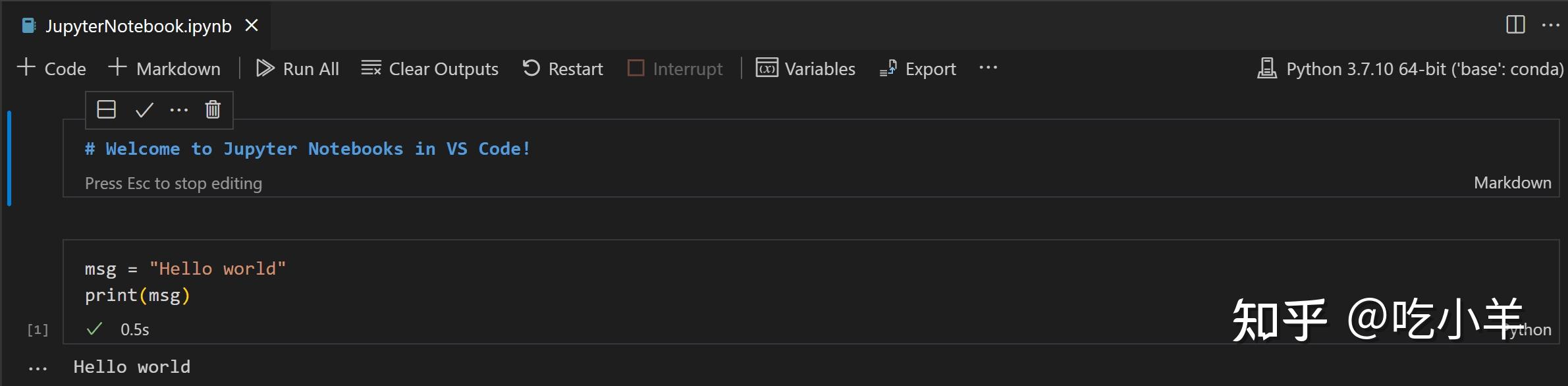 VS Code 中 Jupyter Notebook 使用方法 - 知乎
