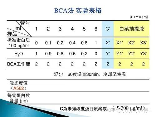 如何使用BCA进行蛋白浓度测定 - 知乎