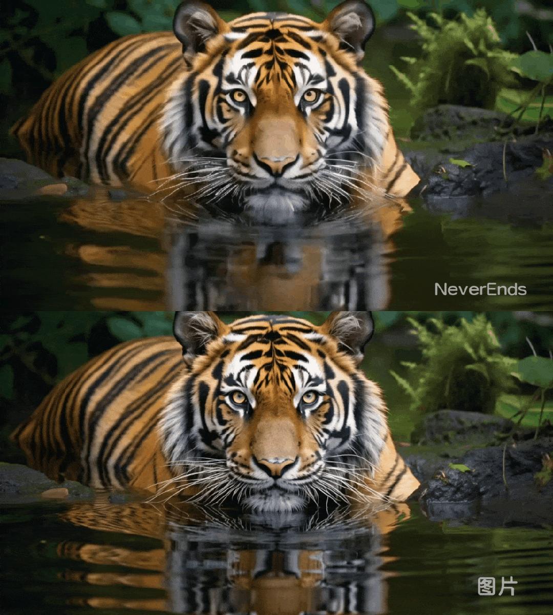 AI生成视频动画神器NeverEnds 2.0全新发布！据说可以吊打Runway Gen-2和Pika 1.0！ - 知乎