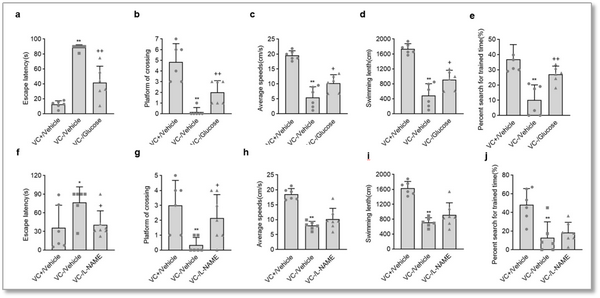 Redox Biol︱吴希美/邹朝春团队合作发现维生素C缺乏导致幼雌鼠发生低血糖并揭示其中相关分子机制 - 知乎