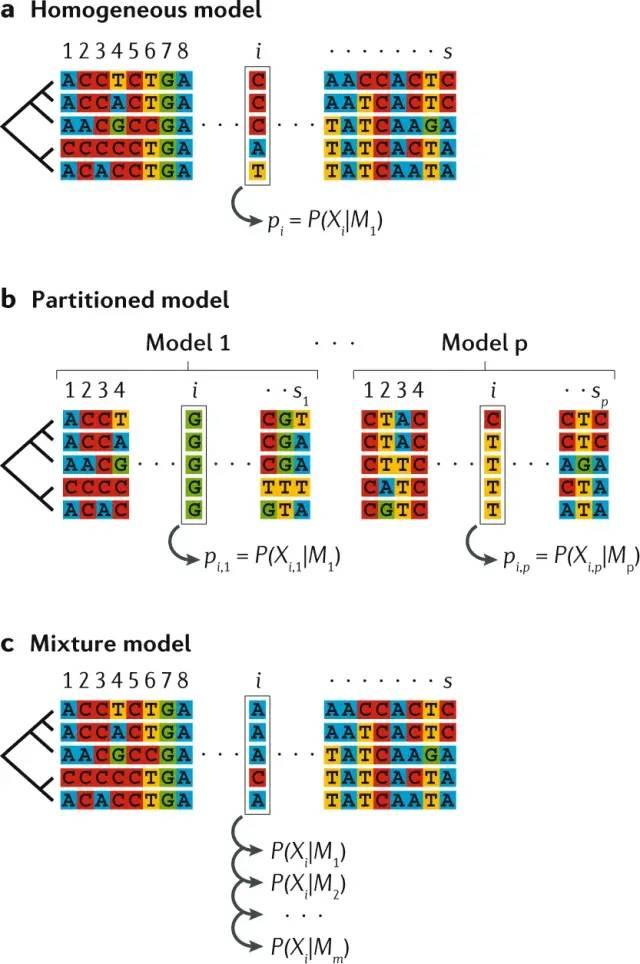 Nature Reviews Genetics | 基因组时代的系统发育树的构建 - 知乎