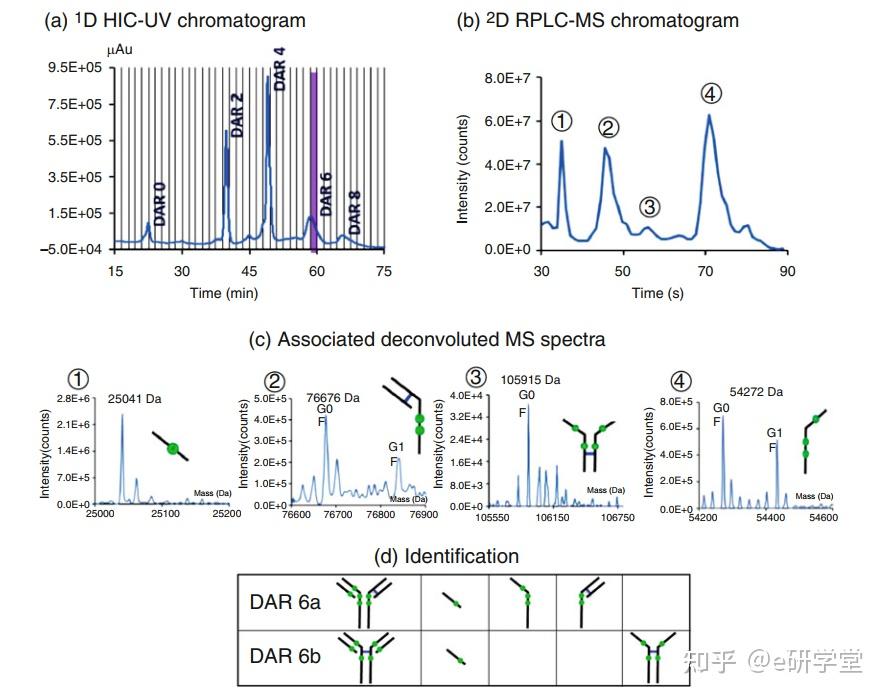 二维液相色谱与高分辨质谱联用表征分析抗体偶联药物（ADC） - 知乎