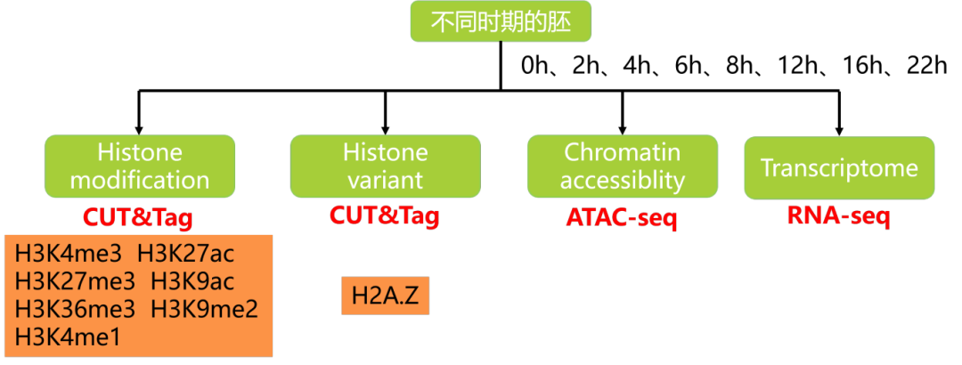 【技术专栏】如何对CUT&Tag项目进行质控 - 知乎