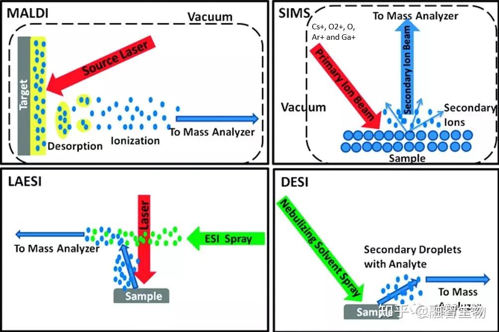 最通俗的质谱成像科普 一篇足矣 - 知乎