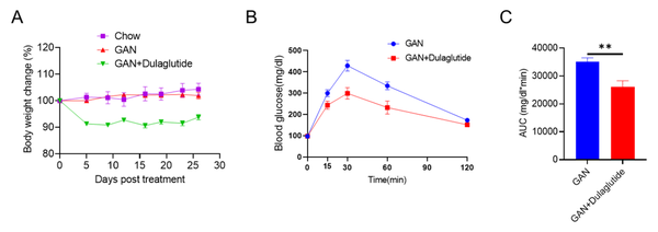GAN饮食诱导NASH模型 | 老龄鼠再展新风采，助力NASH药物研发 - 知乎