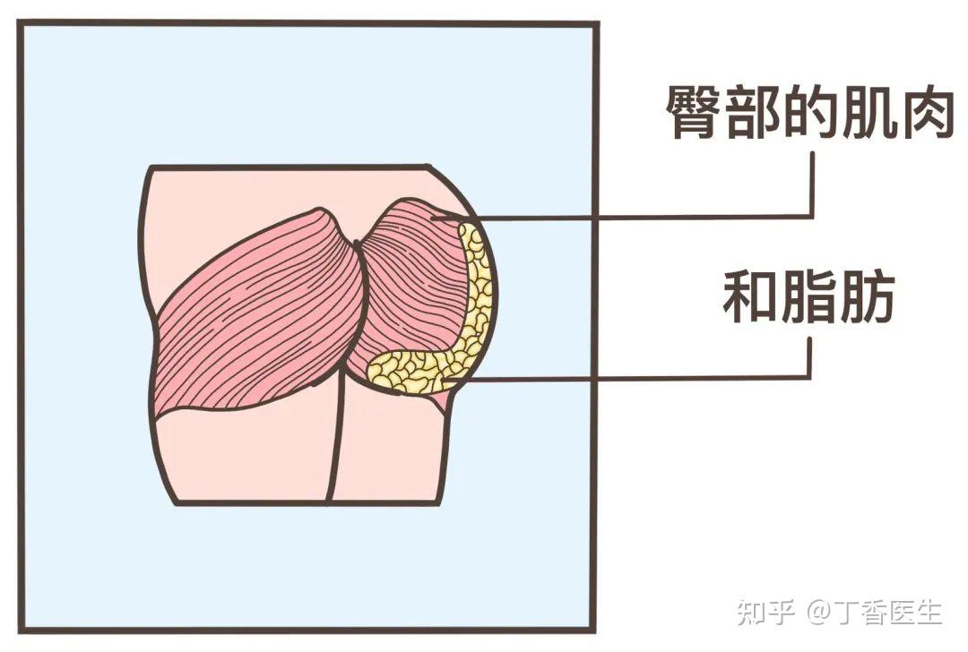 男生的屁股怎么那么翘啊？？？ 知乎