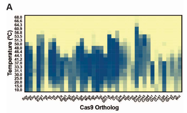 79种新Cas9发布！ - 知乎