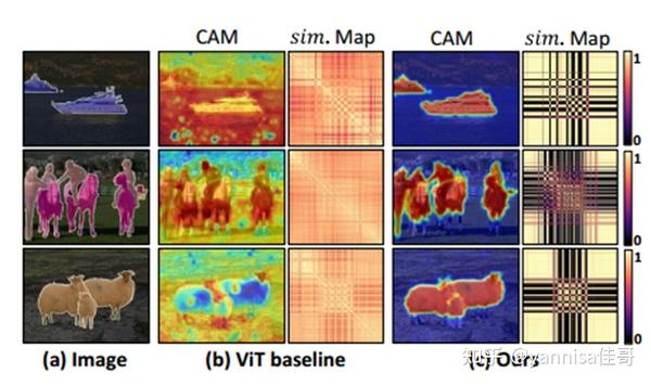 Token Contrast For Weakly Supervised Semantic Segmentation —— Cvpr2023 知乎