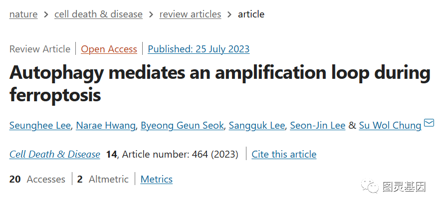 Cell Death Dis | 自噬引起铁死亡的正反馈循环 - 知乎