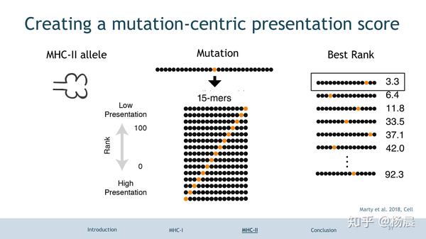 MHC在肿瘤发展过程中的作用 - 知乎