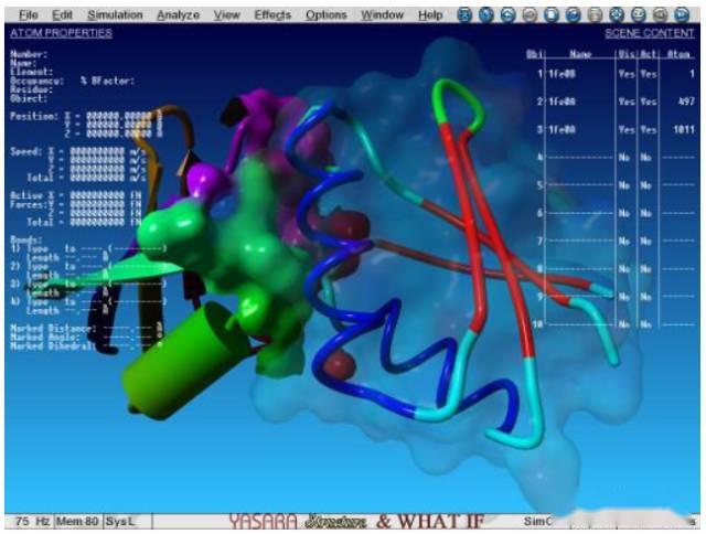 YASARA综合分子模拟软件简介 - 知乎