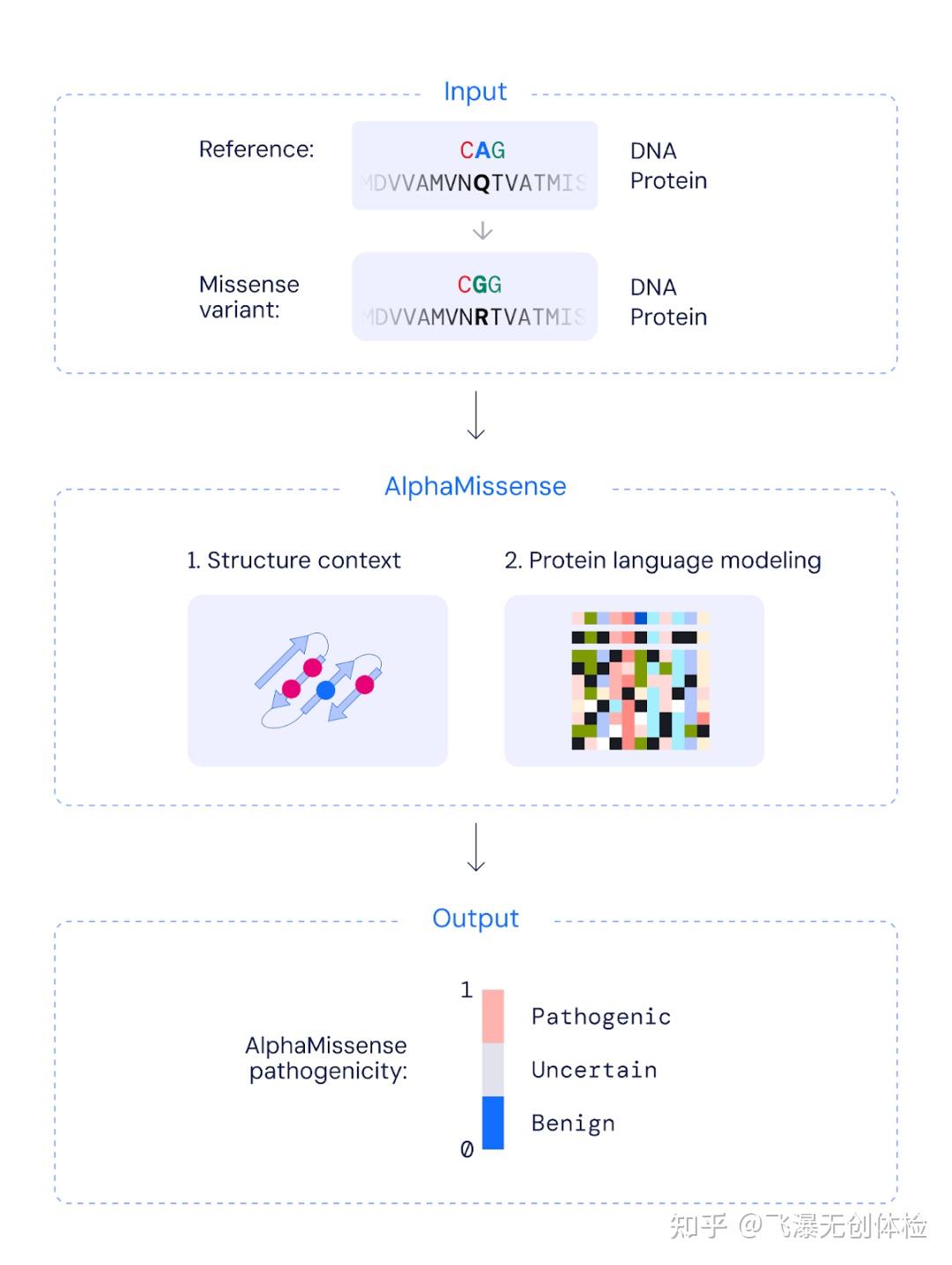 DeepMind最新AI工具登 Science，AlphaMissense准确分类89%的「错义突变」 - 知乎