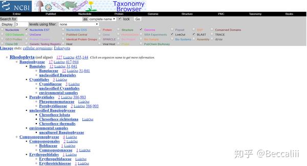 【数据库】- NCBI Taxonomy Browser - 知乎