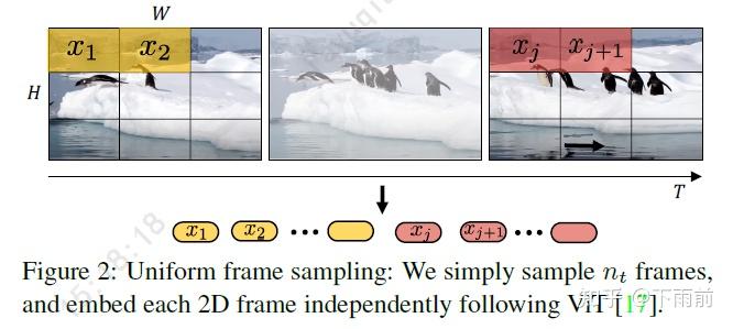 ViViT: A Video Vision Transformer阅读和代码 - 知乎