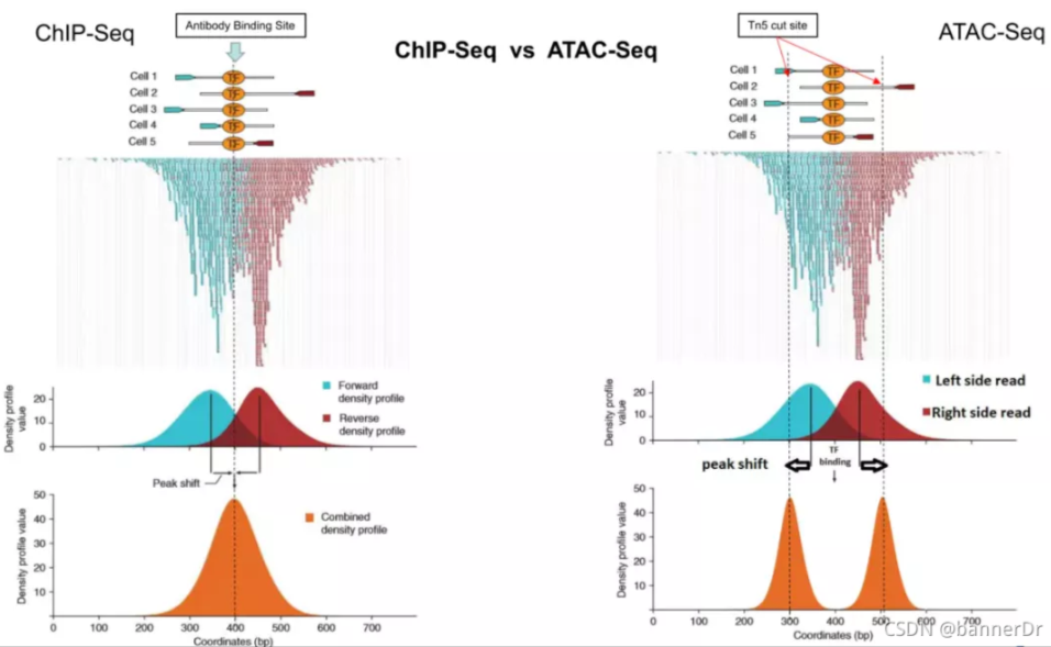 你真的会Call Peak吗？ - 知乎