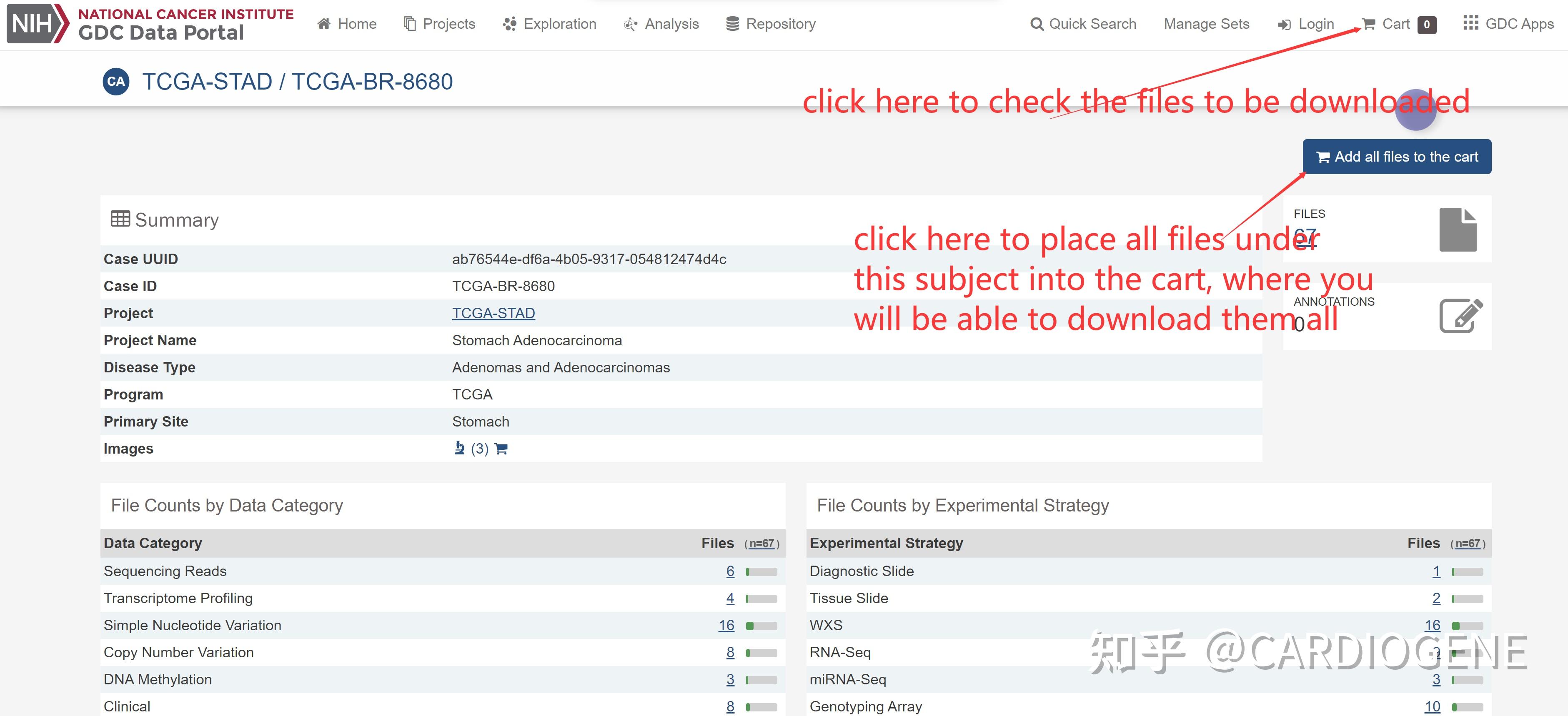 9.3.1.1.TCGA(THE CANCER GENOME ATLAS) - 知乎