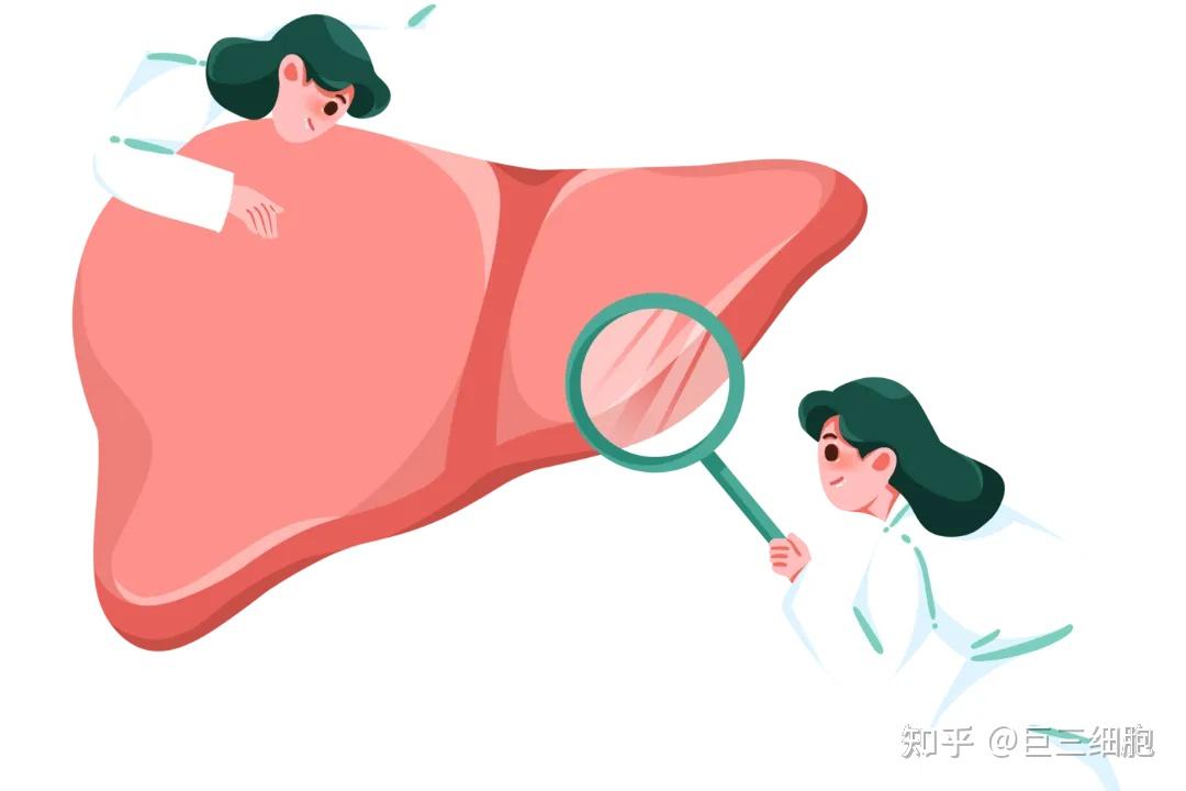 YFQLXB-UC01获批，适应症为失代偿期肝硬化 - 知乎