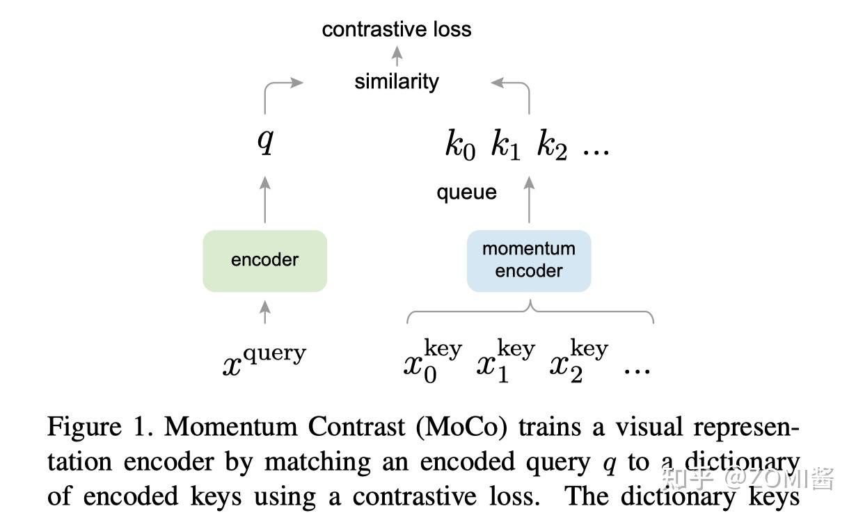 MoCo V1：视觉领域也能自监督啦 - 知乎