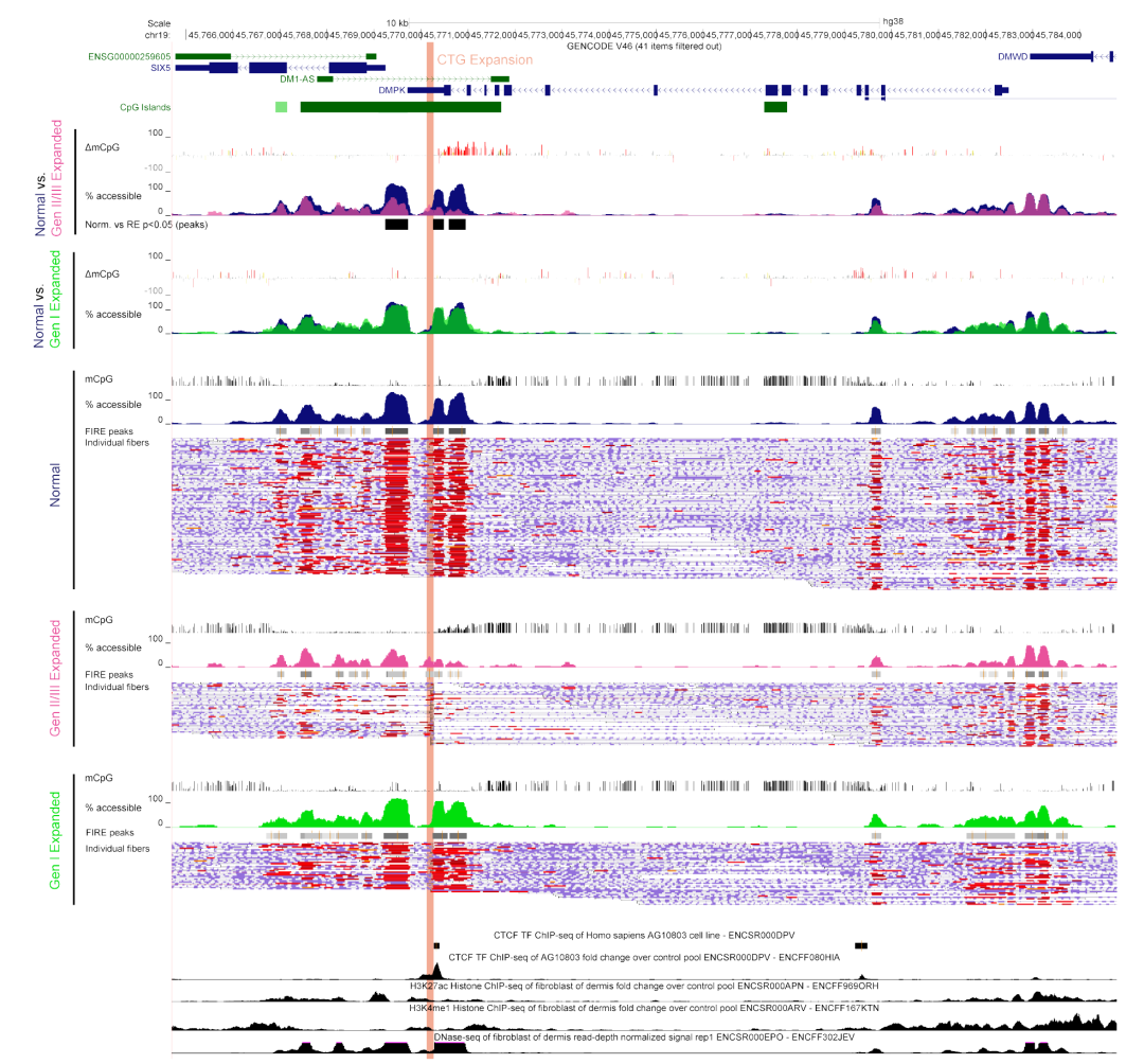 贝瑞基因全面解析丨Fiber-seq引领多组学研究新浪潮 - 知乎