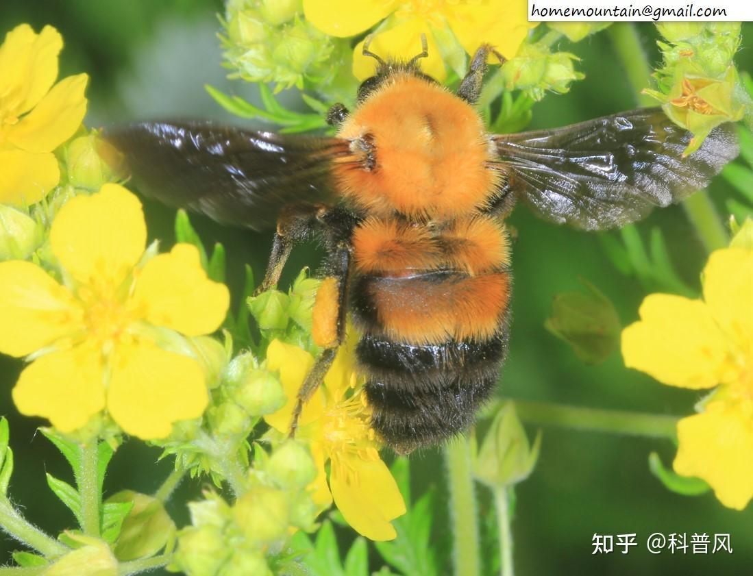 睡使惩崩——伦清 - 知乎