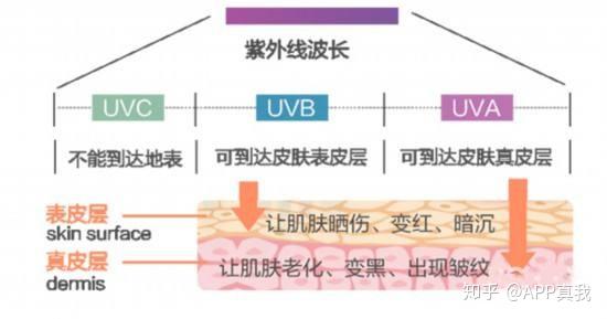 有哪些去黄的护肤品可以推荐？ 知乎