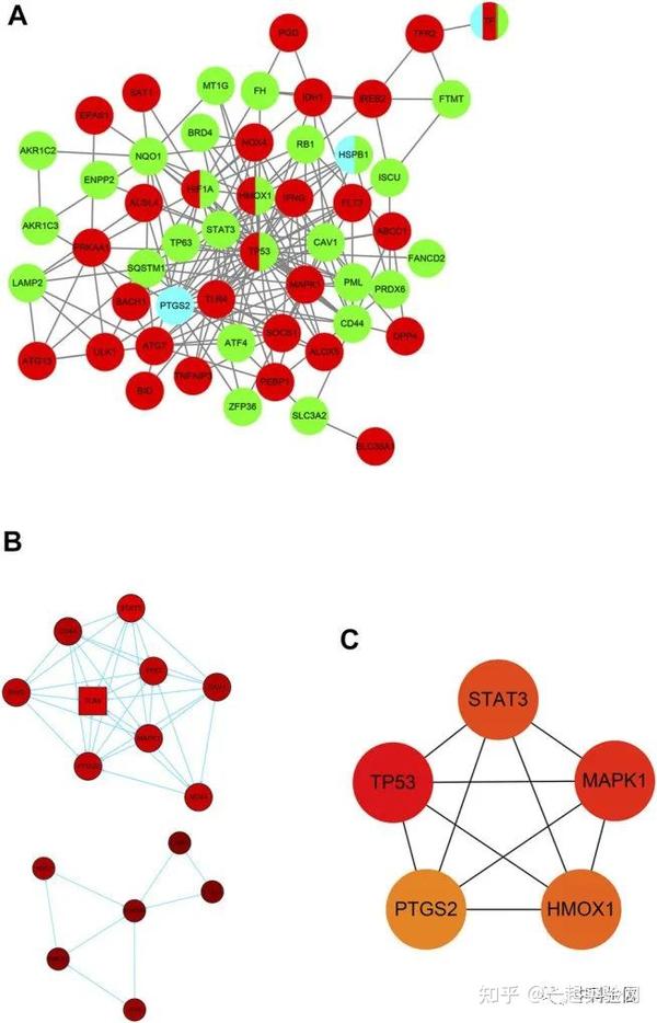 6+ hub基因加ceRNA网络 - 知乎