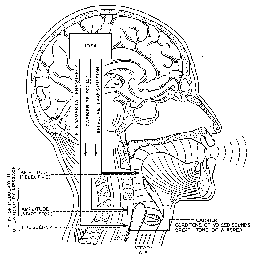 歌声合成考古（2）——Voder&Vocoder - 知乎