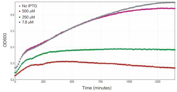 多任务动力学检测功能可监测IPTG诱导细胞蛋白表达和其生长状态 - 知乎