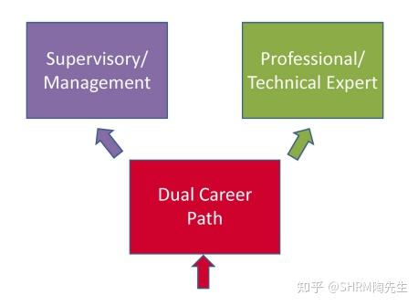 SHRM国际人力资源必学知识点之——Dual career ladders双重职业阶梯 - 知乎
