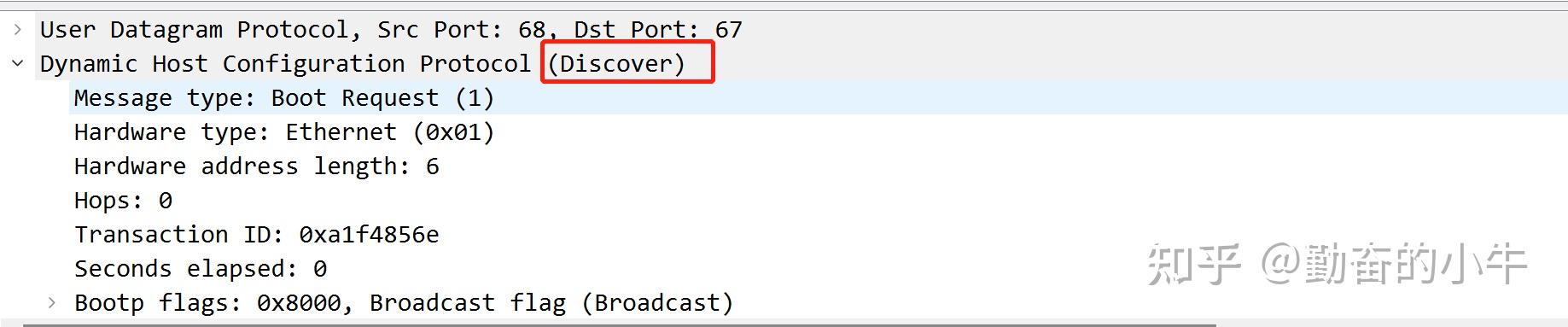 一文读懂DHCP协议 && DHCPv6协议 - 知乎
