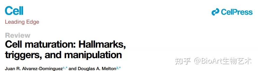 『珍藏版』Cell综述 | 何为细胞“成熟”？如何在体外触发和应用“成熟”的细胞？ - 知乎