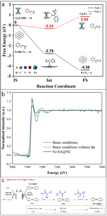催化丨东北大学李文豪/广西师范大学唐海涛/清华大学王定胜团队Angew：单原子铁催化剂作为阳极氧化介质应用于有机电化学合成 - 知乎