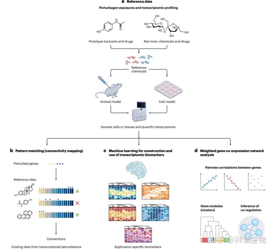 Nat Rev Genet (IF 39.1) | 探索健康基因密码---毒理学的智慧防护 - 知乎