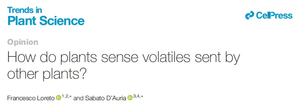 Trends Plant Sci | 植物如何感知其他植物释放的挥发物？ - 知乎