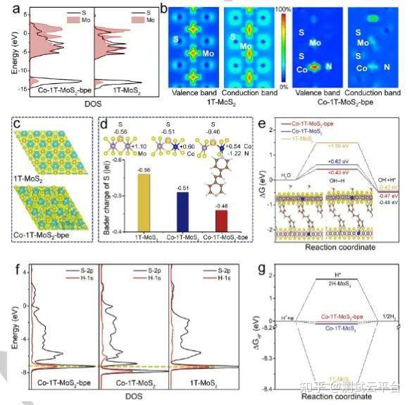 中石大Angew：配体调节活性中心，促Co掺杂1T-MoS2电催化碱性析氢 - 知乎
